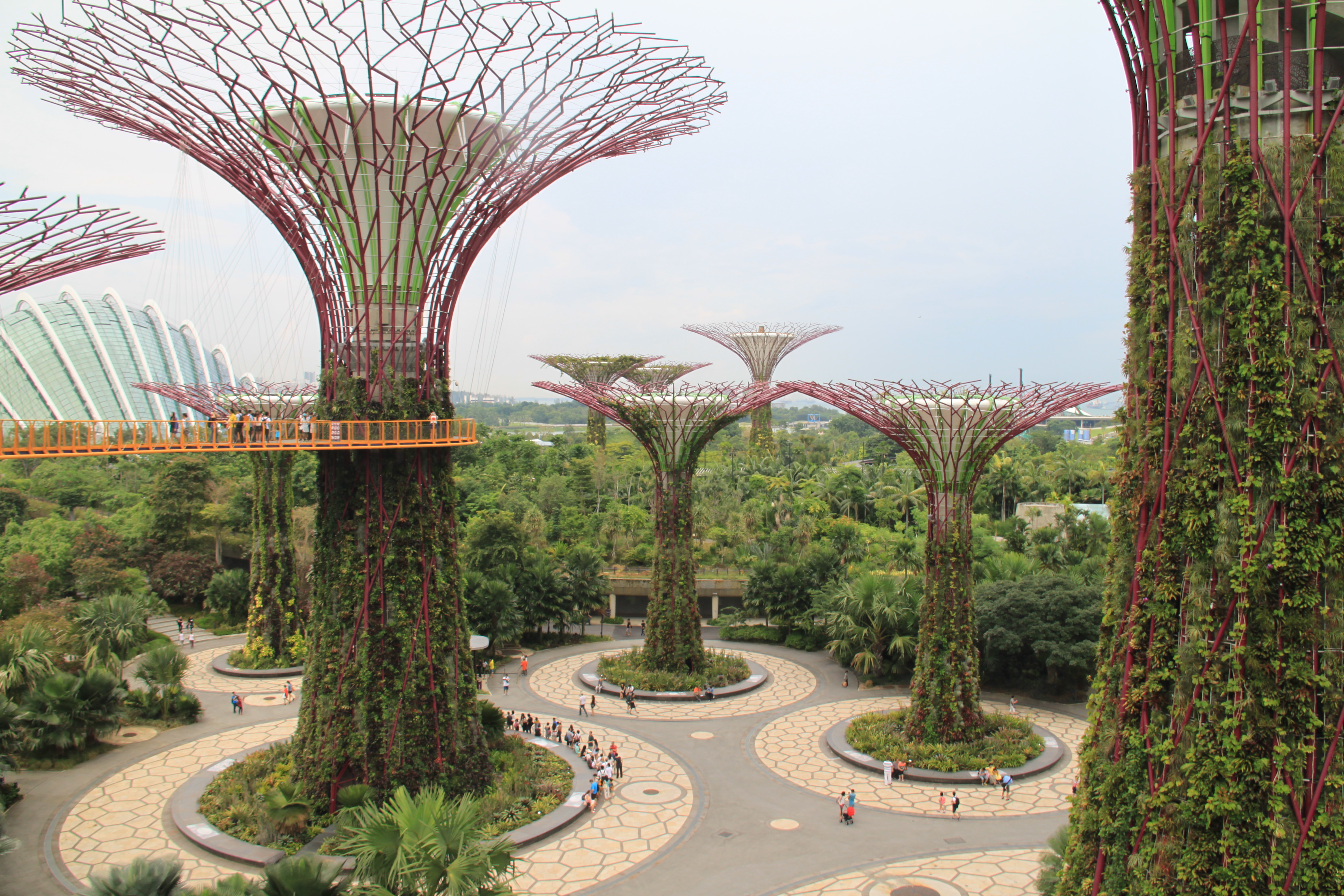 tree-garden-day - Free Two Roam