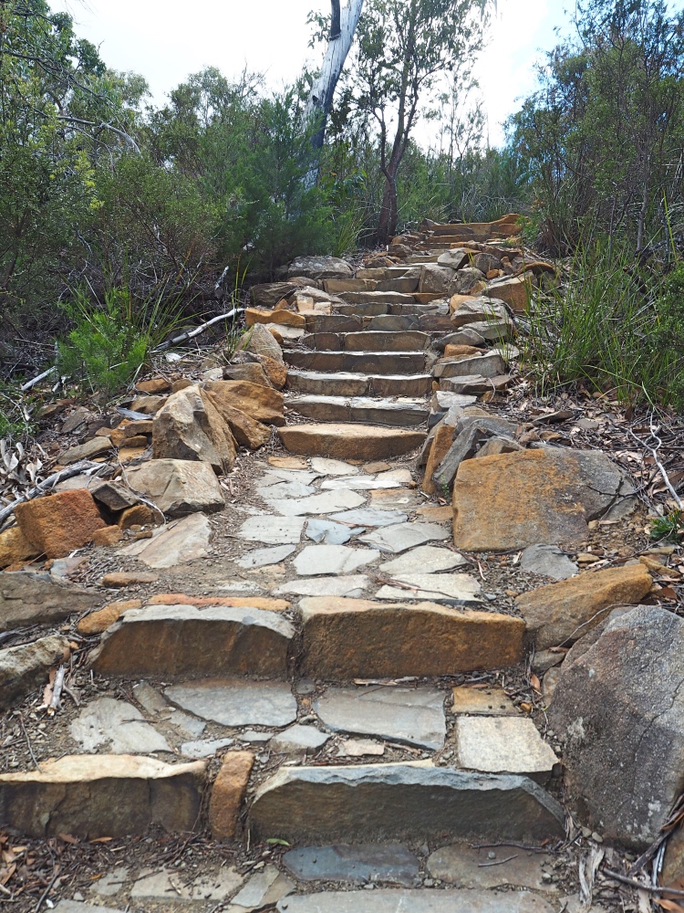Hiking Cape Hauy: A Great Tasmanian Hike - Free Two Roam