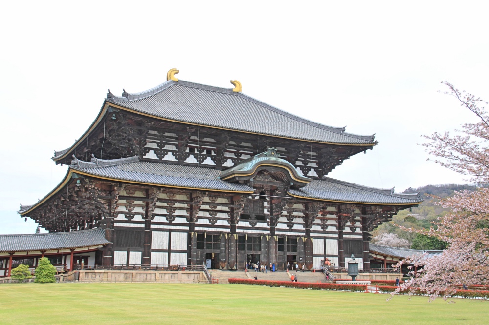 5 Reasons You Should Visit Nara - Free Two Roam