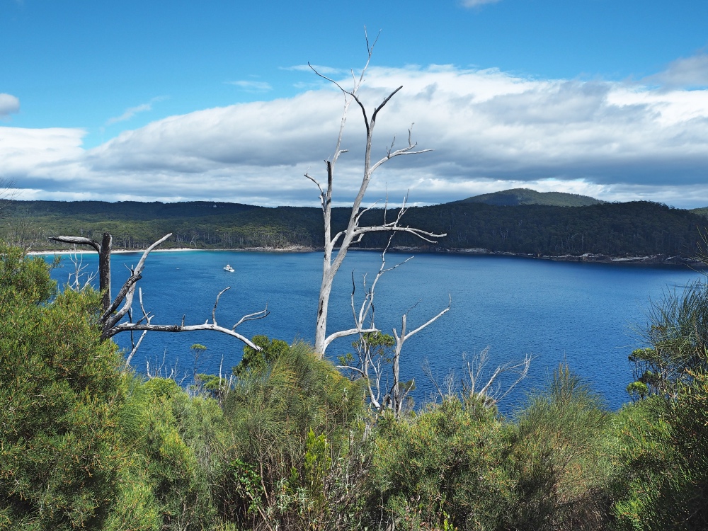 Hiking Cape Hauy: A Great Tasmanian Hike - Free Two Roam