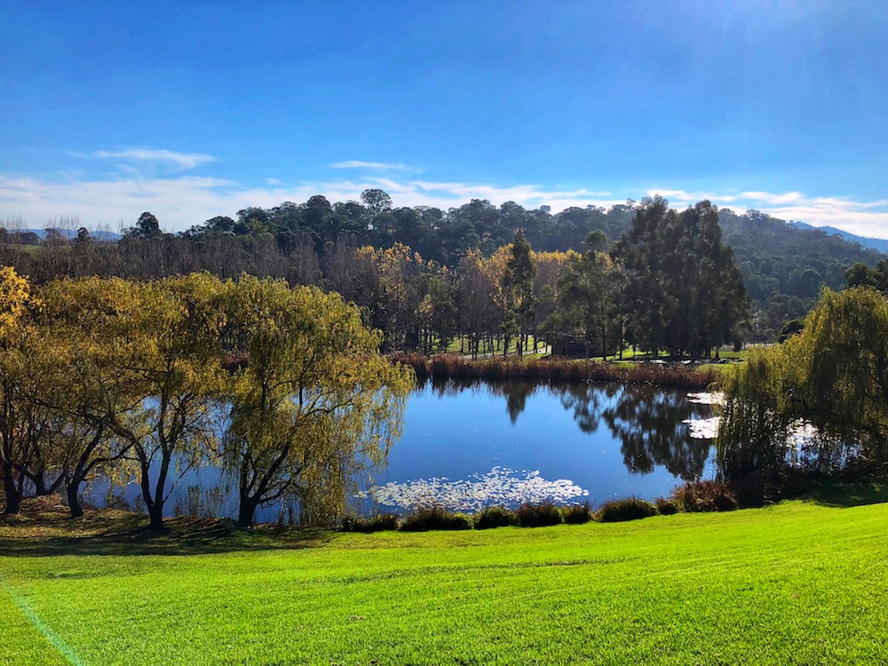 Our Top 6 Wineries in The Yarra Valley - Free Two Roam