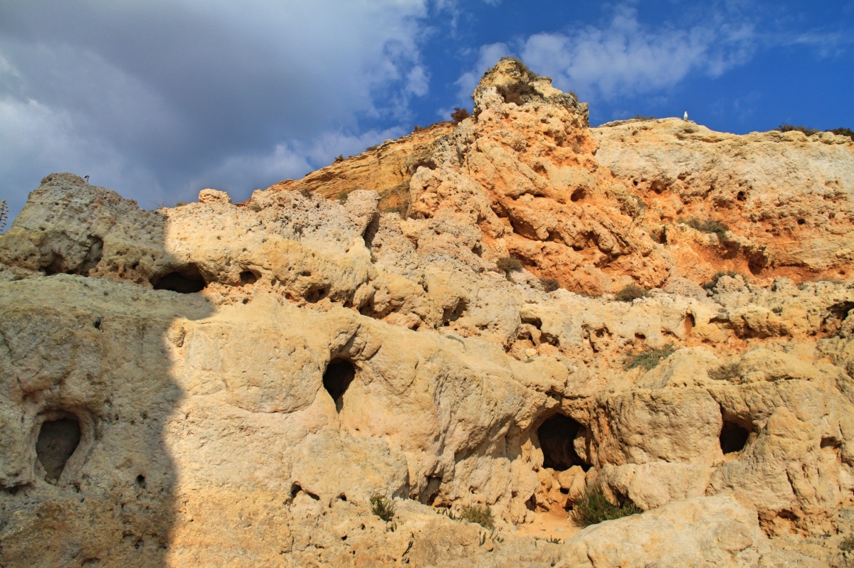 seco - Free Two Roam