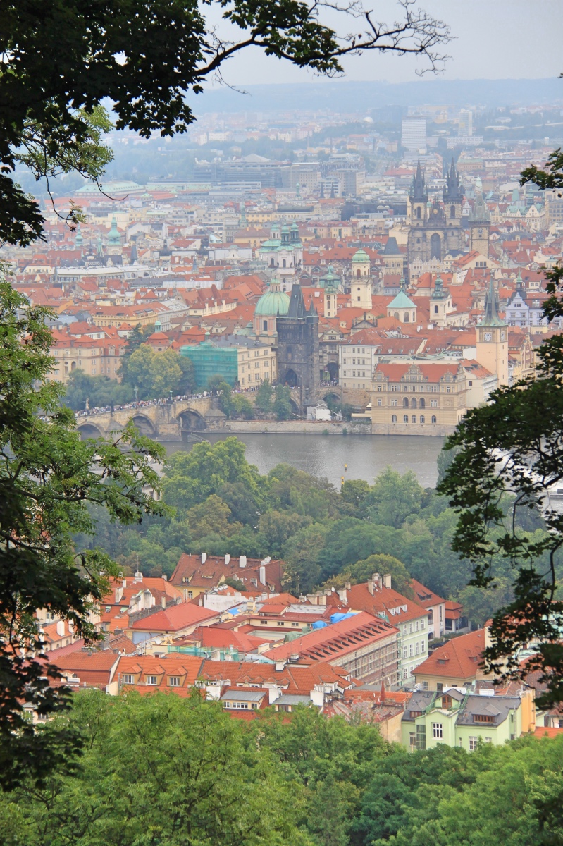 great view - Free Two Roam