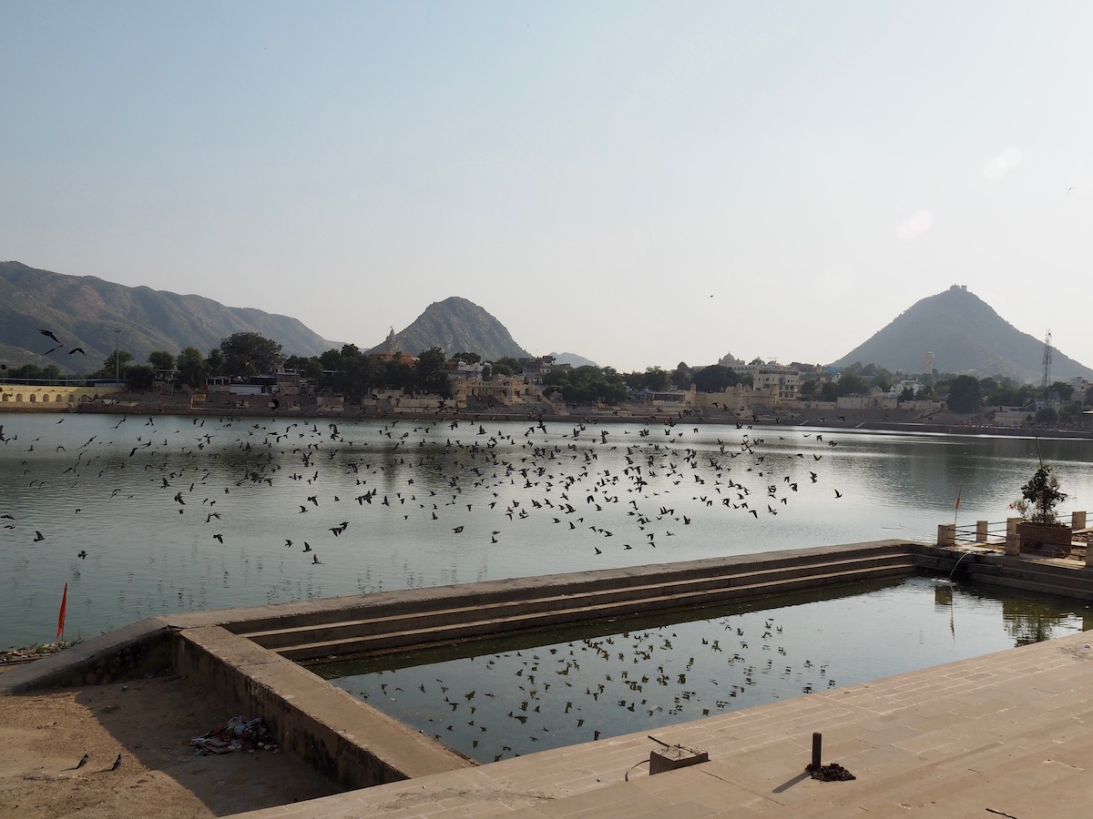 Pushkar, the Good, the Bad and the Ugly - Free Two Roam