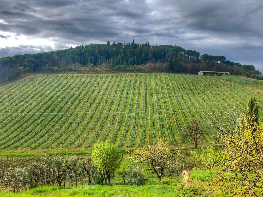 A Two-Week Itinerary for Tuscany - Free Two Roam