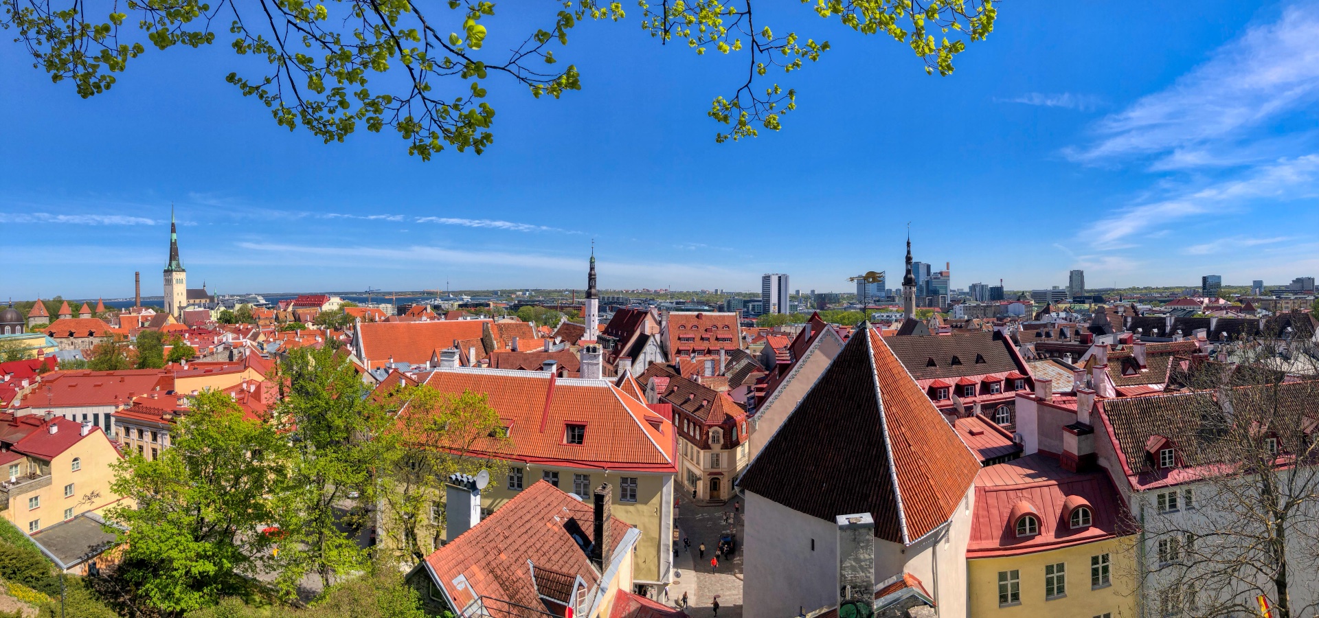 tallinn-panorama - Free Two Roam