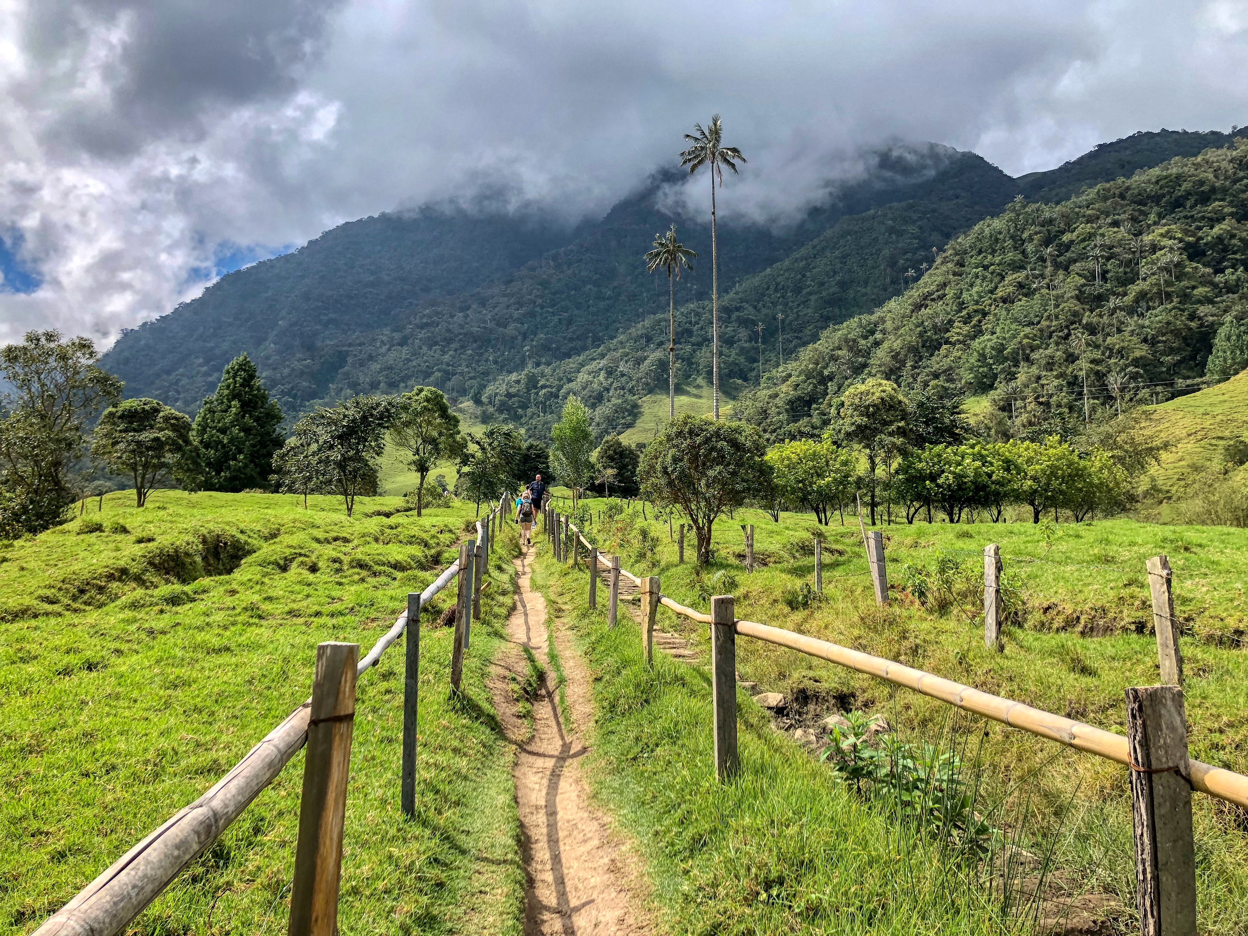 cocora valley hike - Free Two Roam