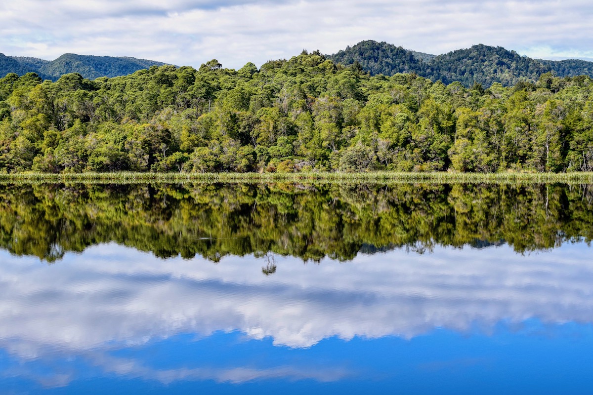 A Breathtaking Cruise on the Gordon River - Free Two Roam