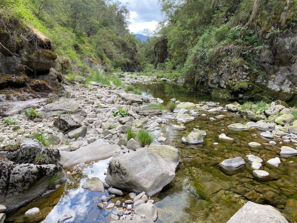 What to Do In and Around Mount Beauty in Summer - Free Two Roam