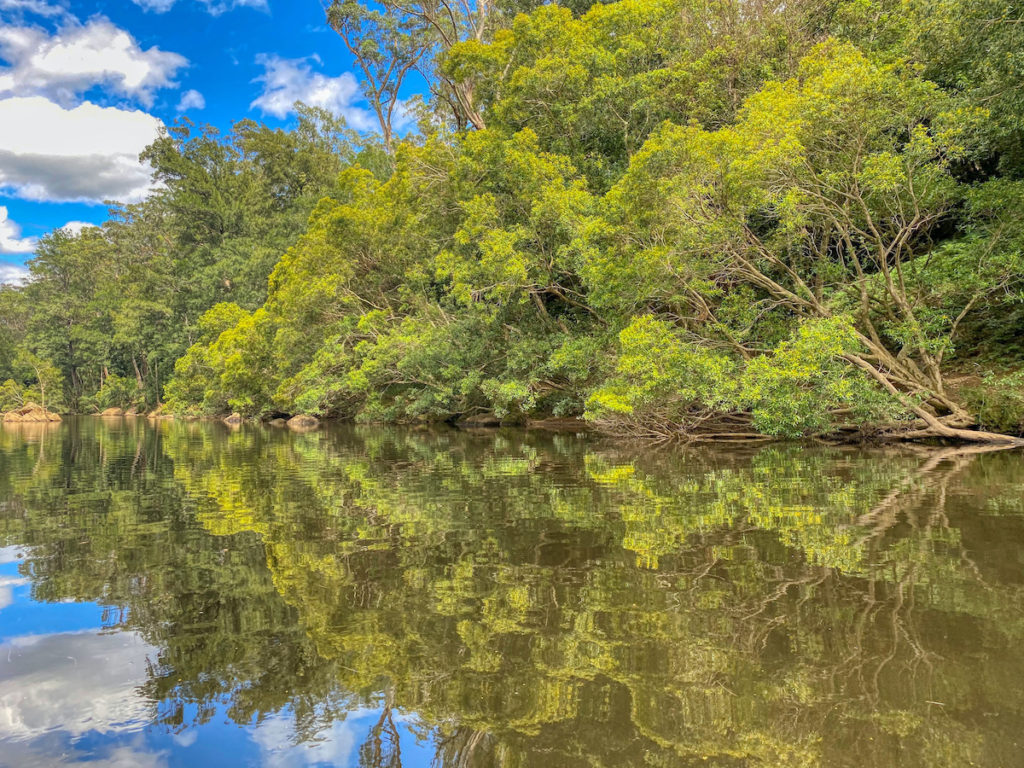 8 Things to Do in Kangaroo Valley - Free Two Roam