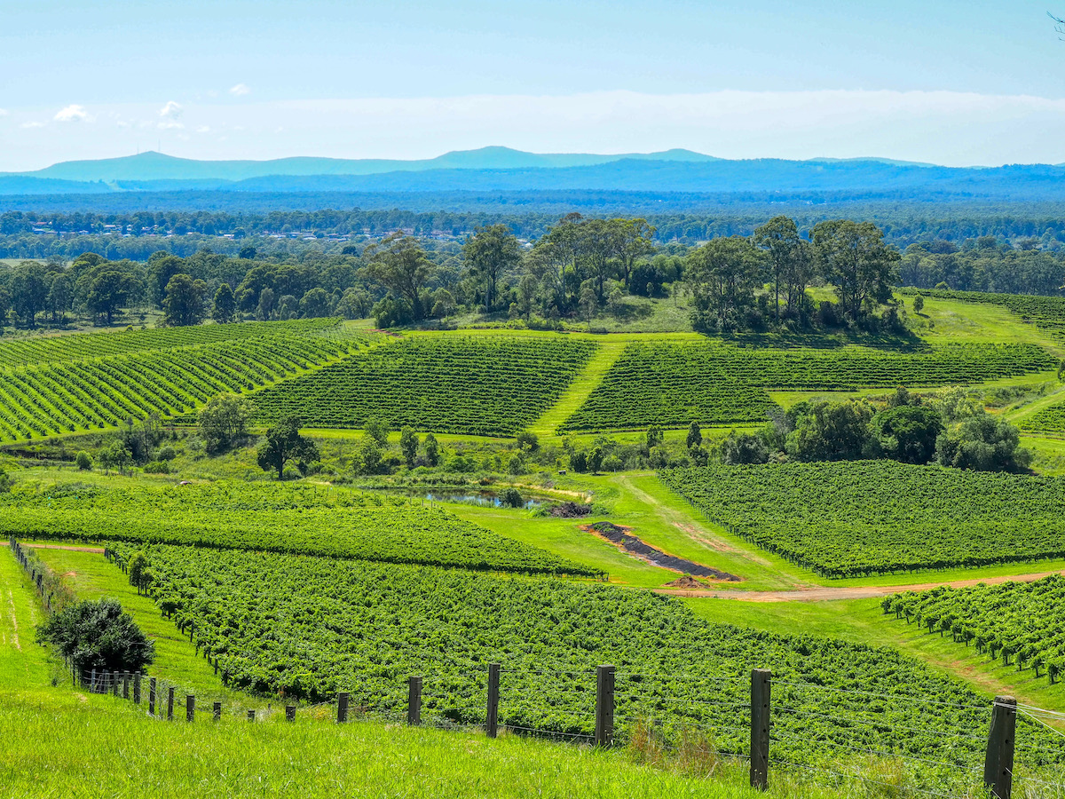 Our Top 5 Wineries in the Hunter Valley - Free Two Roam