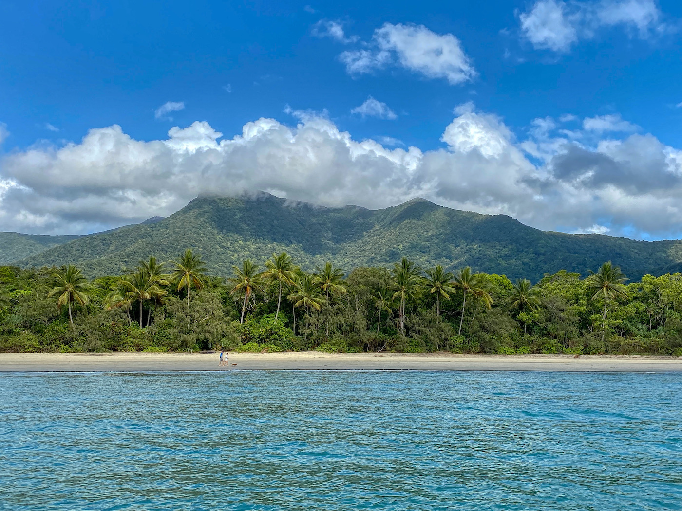 What to Do in and Around Cape Tribulation - Free Two Roam
