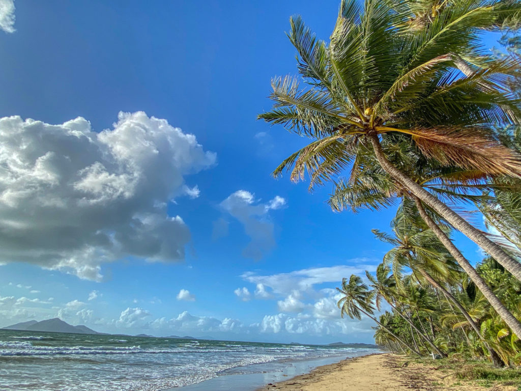A Quick Guide to Mission Beach - Free Two Roam