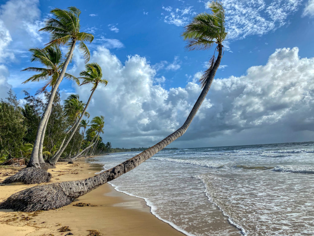 A Quick Guide to Mission Beach - Free Two Roam