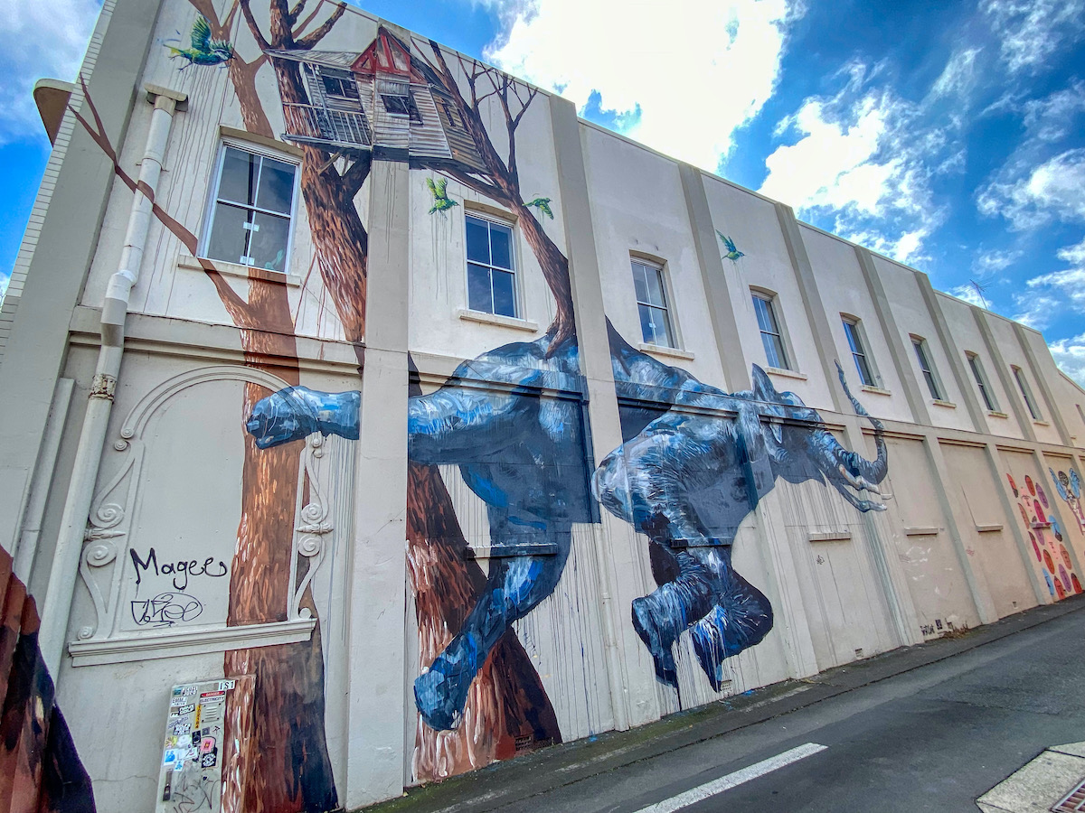 IMG_3179 - Free Two Roam