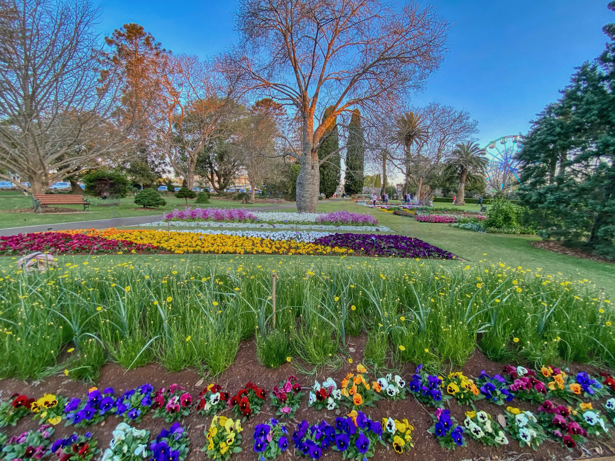 Toowoomba Flower Festival 2018 Parade | Best Flower Site