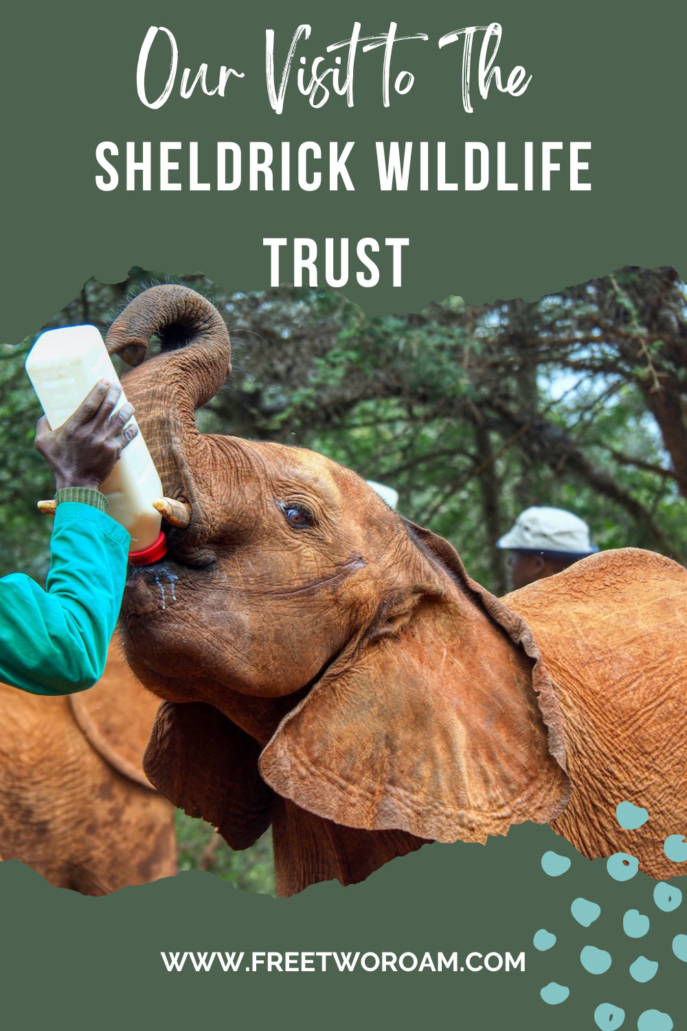 Sheldrick trust Pinterest Pin - Free Two Roam